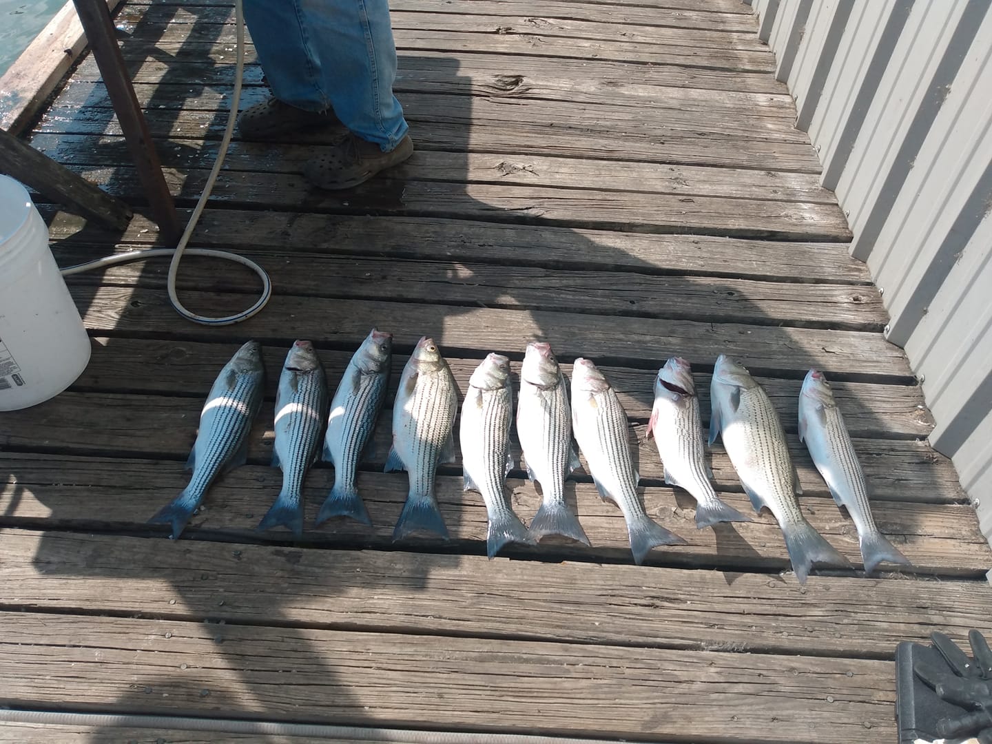 PARADISE POINT FISHING DOCK - Visit Llano County