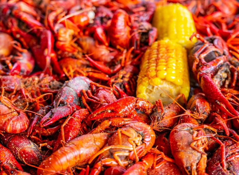 April in Llano County: Mudbugs, music, bike races, and wildflowers all ...